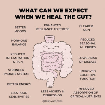 Gut health - new trend or actually something? – My Feel Fit